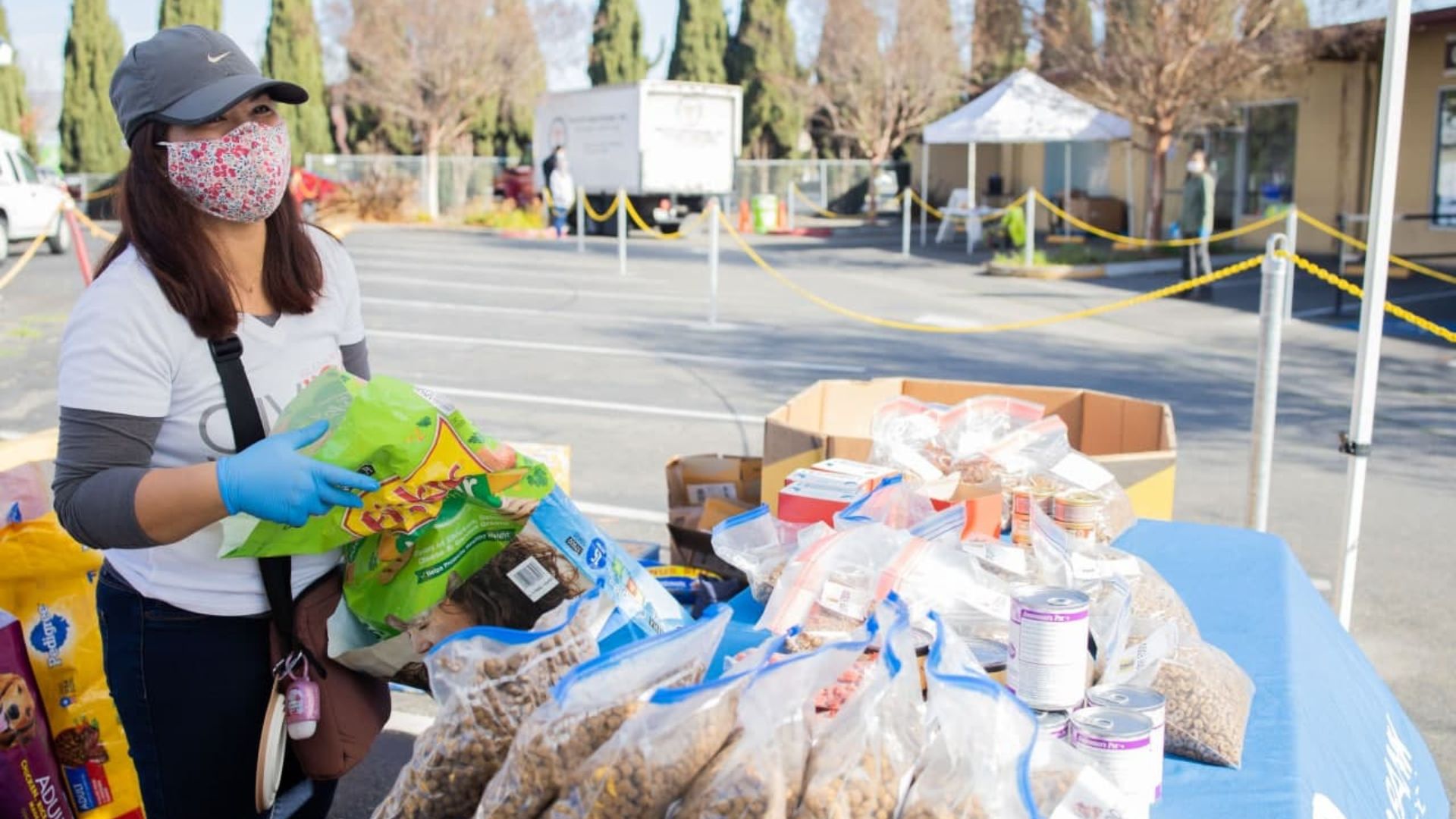 How To Organize a Pet Food Drive - INC Giving Project